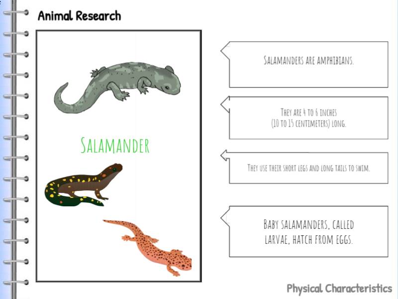Animal Research - Wixie